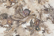 Floral Beaded and Embroidered Tulle - Beige / Multicolor